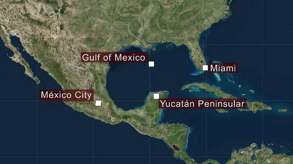 Britons survived in Mexican jungle on peanuts and fish - BBC News