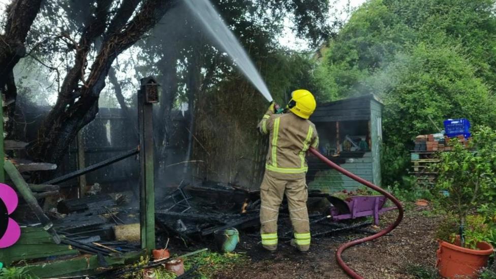 Basingstoke: Community garden set on fire in arson attack - BBC News