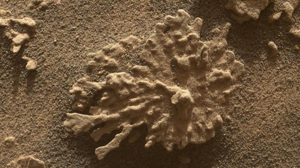 Curiosity: Nasa rover finds unusual coral-like rocks on Mars - BBC ...