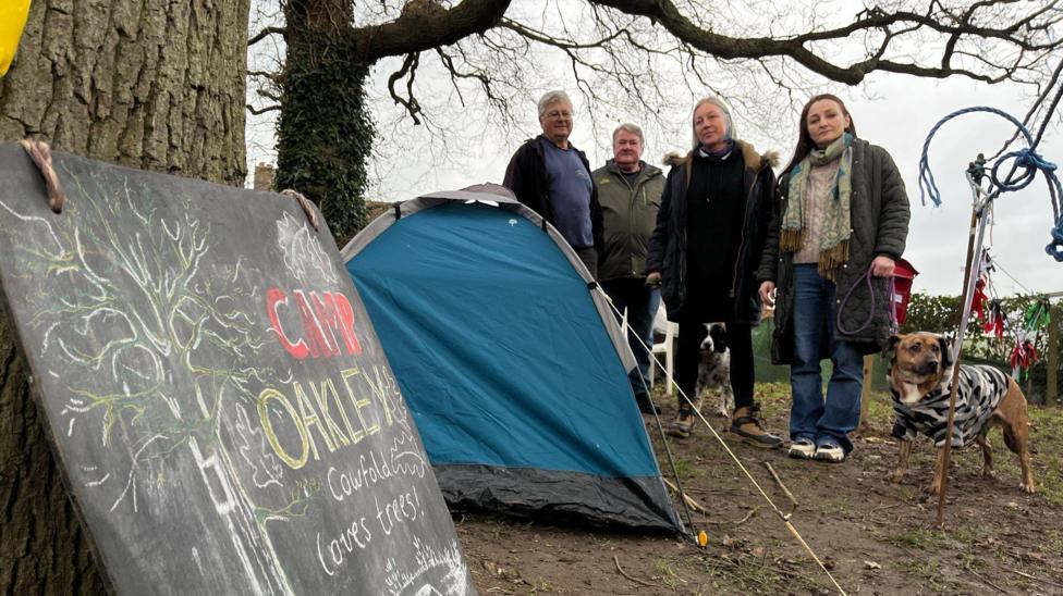 Cowfold: Group will camp 'for as long as needed' to save tree - BBC News
