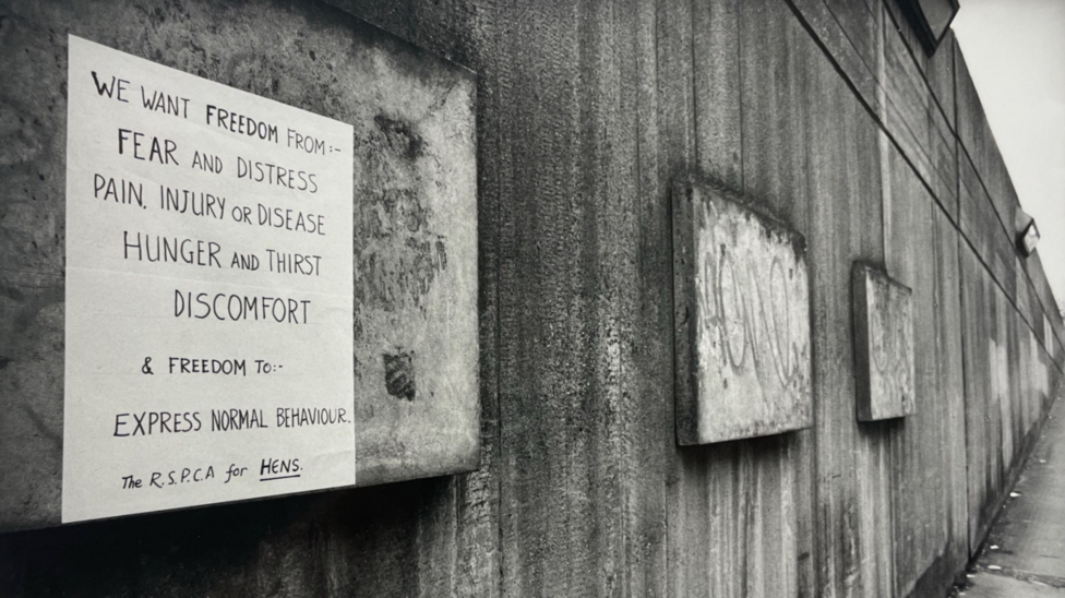 Cardboard City exhibition to shed light on London's homeless history ...