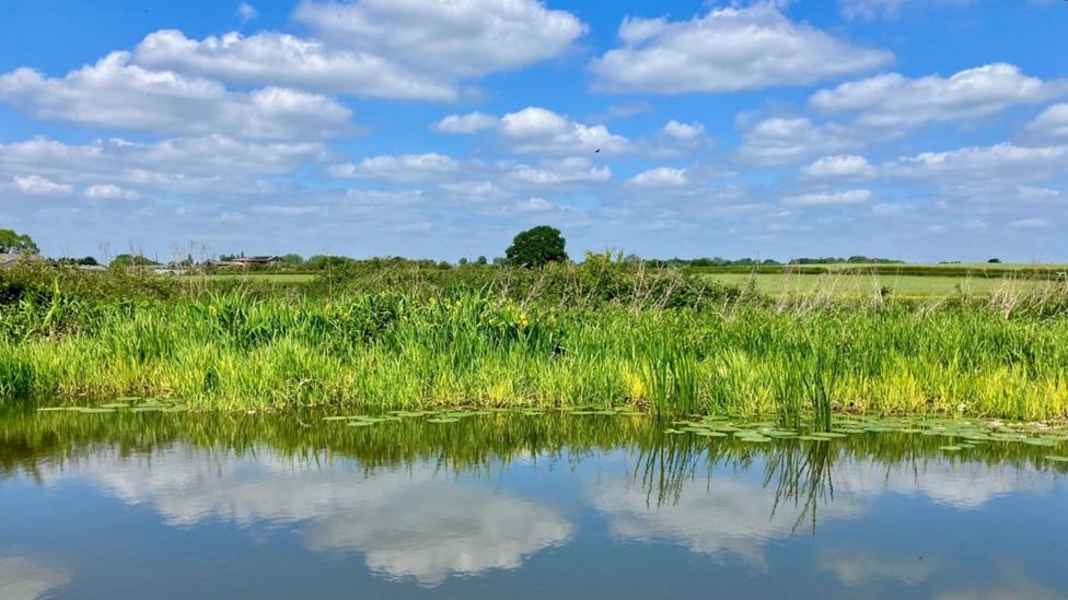 Rain expected over weekend - BBC Weather