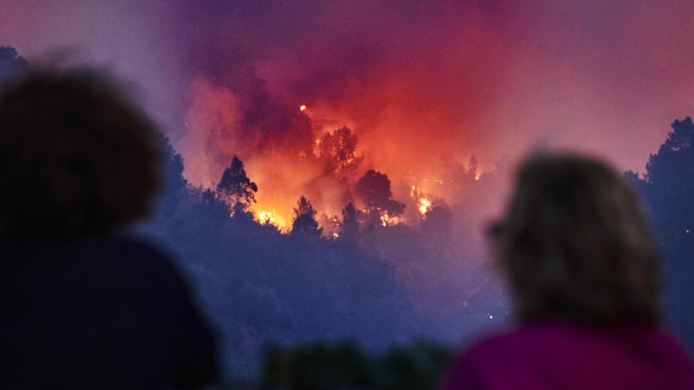Portugal wildfires: three firefighters die as blazes 'rage across ...