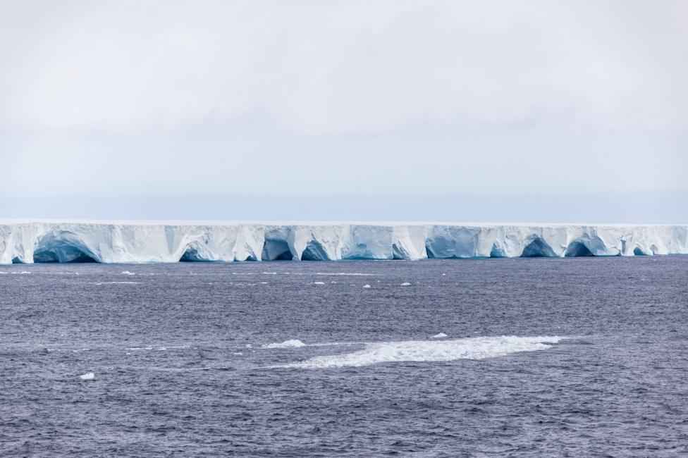 A23a: World's biggest iceberg runs aground off remote island - BBC News