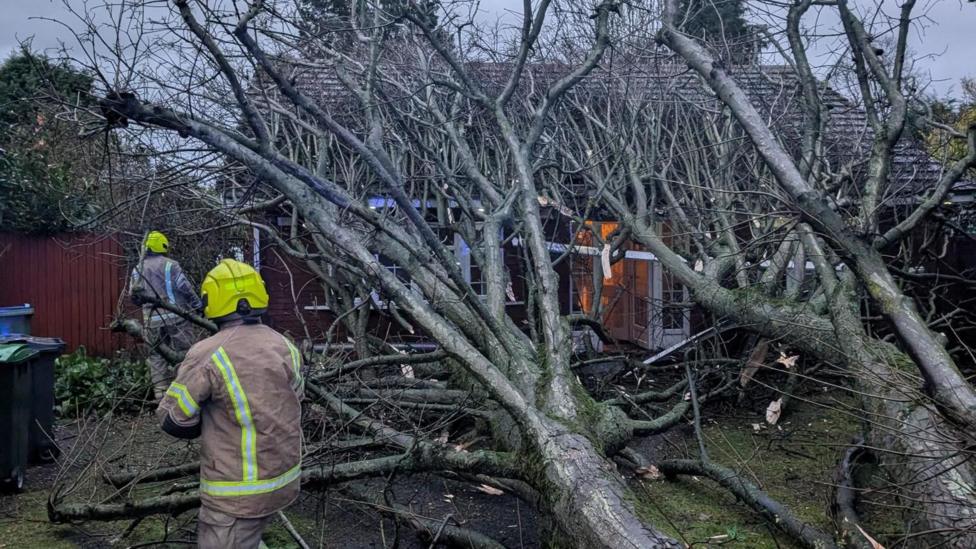 Storm Darragh clear-up could take weeks - council - BBC News