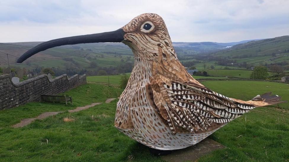 Man sets off on Nidderdale walk dressed as a curlew - BBC News
