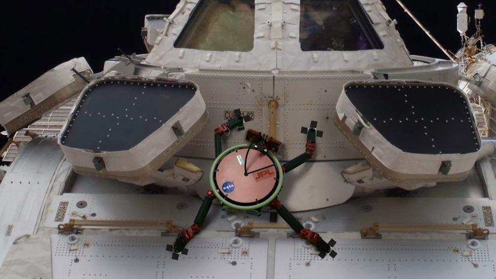 Six ways nature has inspired tech innovations - BBC News