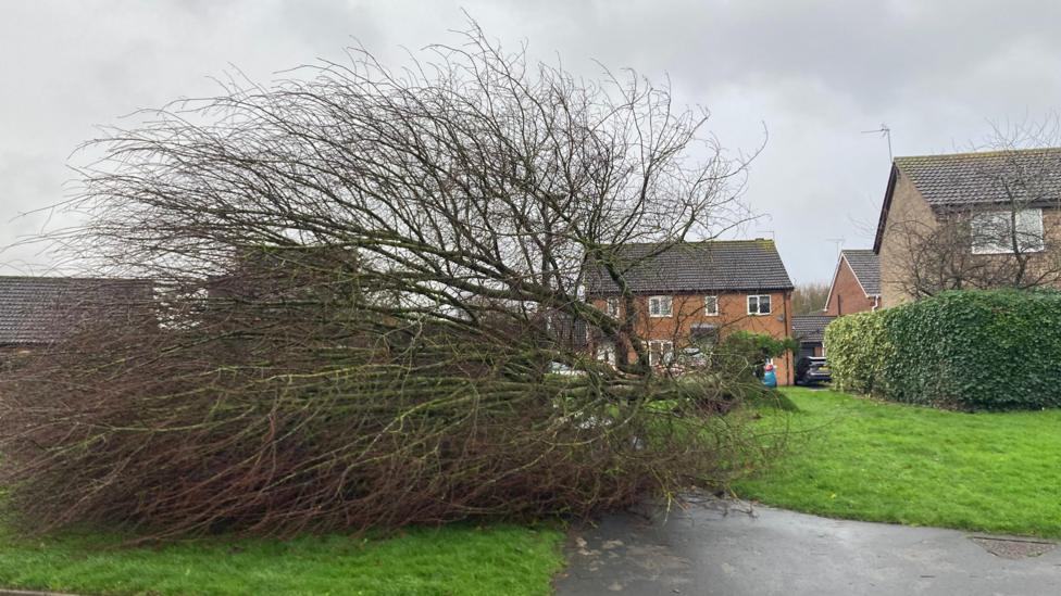 In pictures: Storm Darragh across East Yorkshire and Lincolnshire - BBC ...