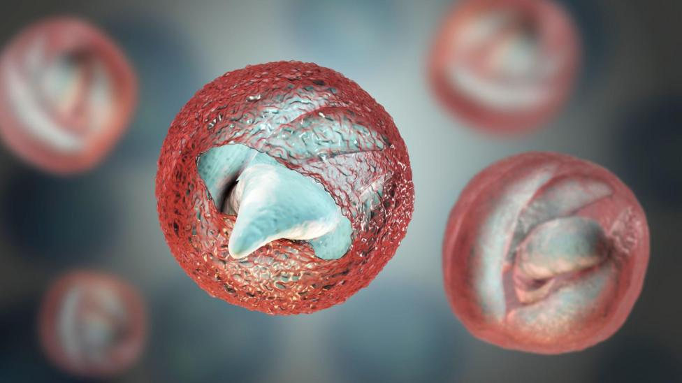 Cryptosporidium: What is the water parasite and how dangerous is it ...