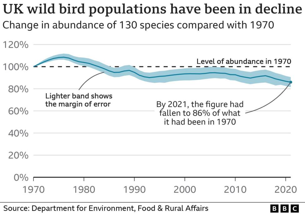 UK migratory birds 'in freefall' over climate change - BBC News