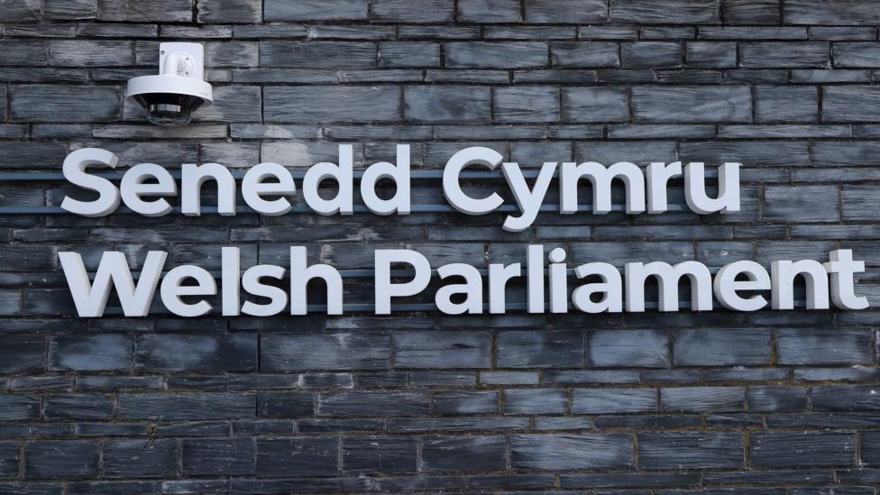 Welsh Parliament: Senedd politicians may not be guaranteed seats - BBC News