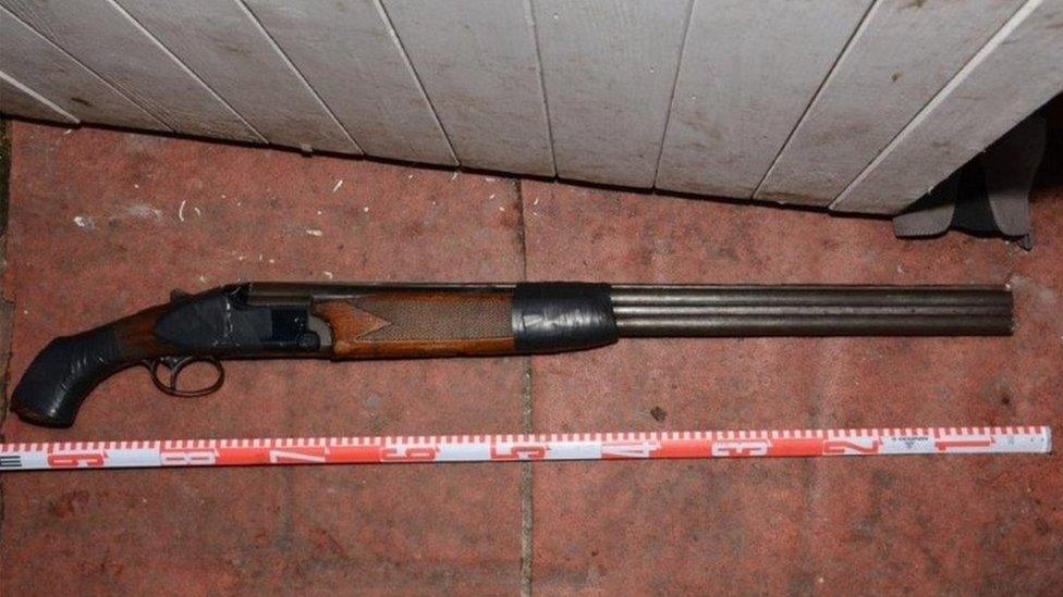 Castle Cary armed siege: Daniel Hannam jailed for 24 years - BBC News