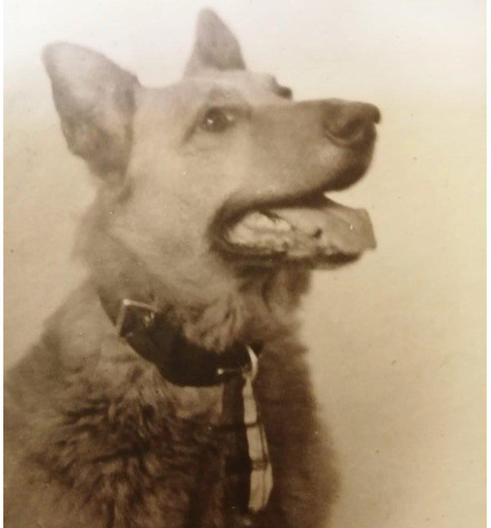 WW2 hero dog celebrated with statue in Strathaven - BBC News