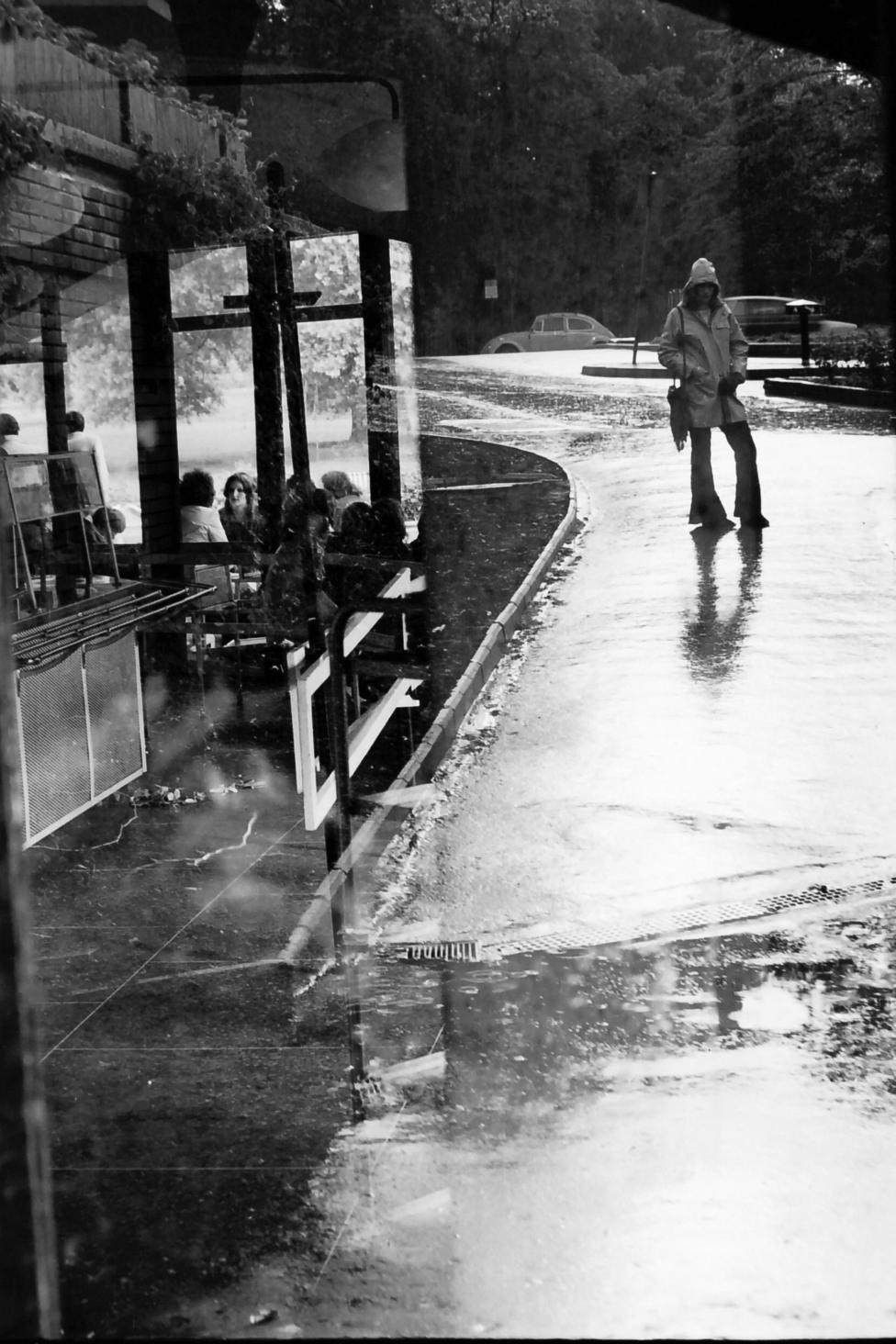 Your pictures on the theme of 'monochrome' - BBC News