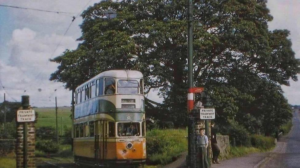 Historians "optimistic" that Darnley Sycamore will survive - BBC News