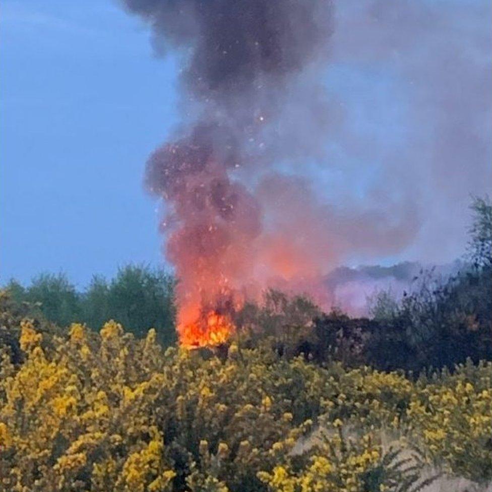 Seven fires break out in open in one day in Hampshire - BBC News