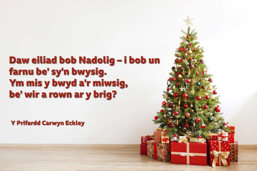 Englyn y Nadolig gan Carwyn Eckley - BBC Cymru Fyw
