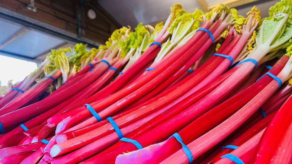 Wakefield's rhubarb roots celebrated in city festival - BBC News