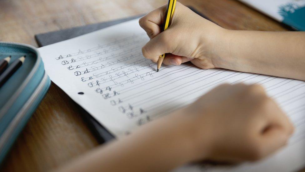 Are pen licences a good or a bad idea? - BBC Newsround