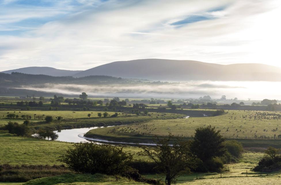 In pictures: Capturing the glory of Galloway - BBC News