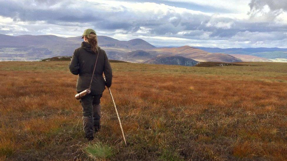 The gamekeeper who was vegetarian for 18 years - BBC News