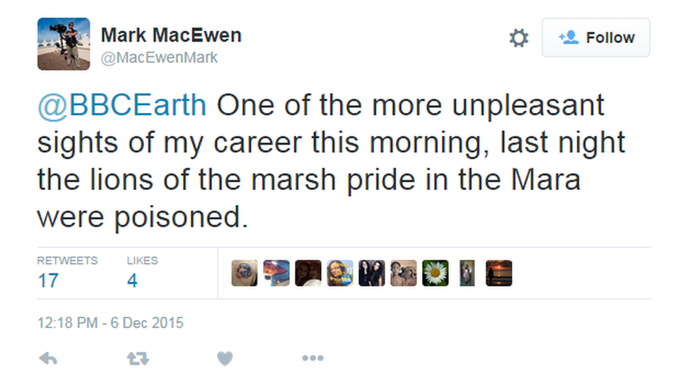 Maasai lions: Two charged with Kenya poisoning - BBC News