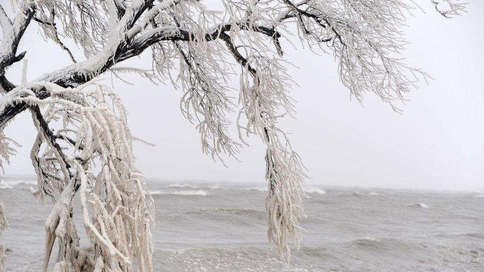 In pictures: US winter storm - BBC Newsround