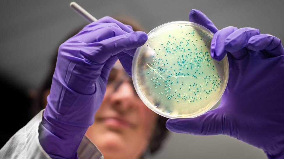 AI designs new superbug-killing antibiotics for gonorrhoea and MRSA - BBC News