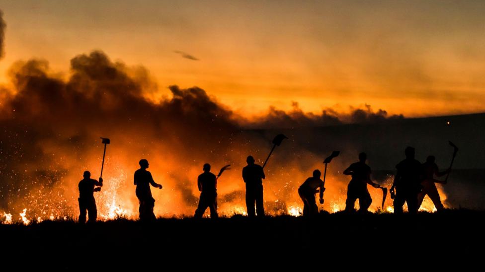 Delamere Forest: Fire crews tackle blaze at Cheshire beauty spot - BBC News