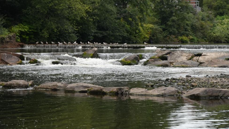 Swansea boy Kane Edwards' body trapped under water by tree, inquest ...