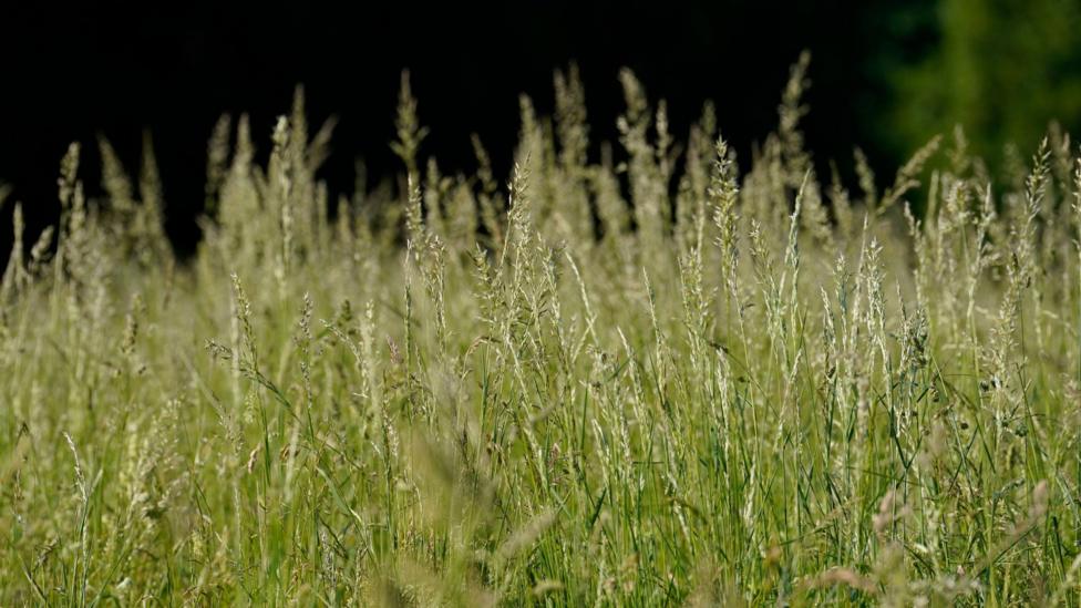 UK Weather: Temperatures rise on last day of spring - BBC Weather