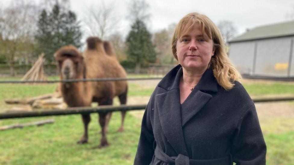 Banham Zoo and Africa Alive make staff redundant - BBC News