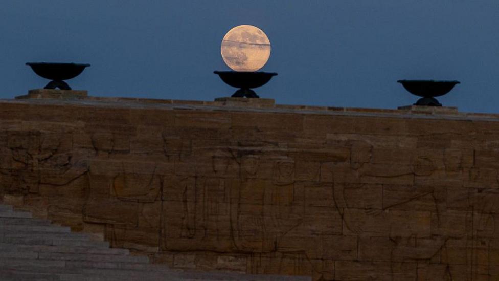 Beaver Moon photos from around the world - BBC Newsround