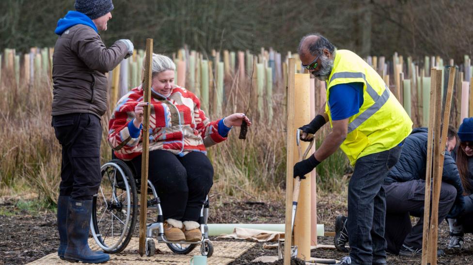 Stroud Valleys Project volunteers beat own planting record - BBC News