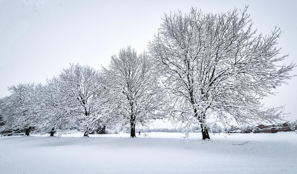 Wales snow in pictures: Frosty scenes as winter emerges - BBC News