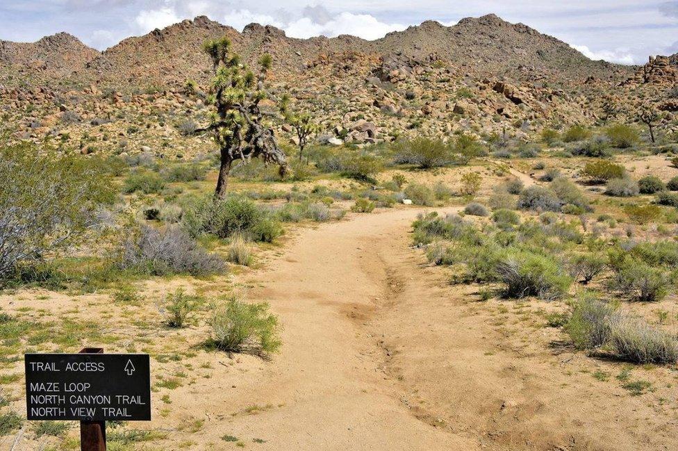 Missing California hikers died in apparent murder-suicide - BBC News