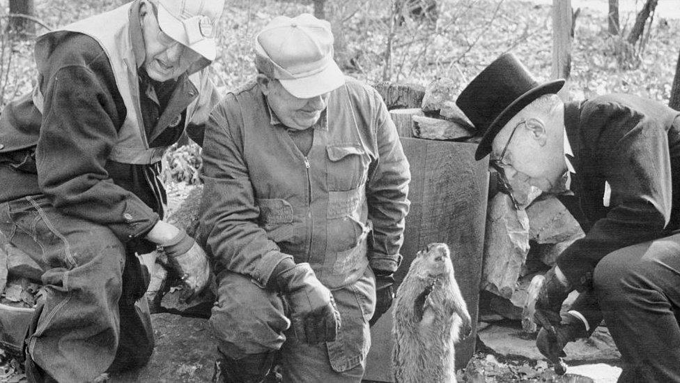 Punxsutawney Phil: Famous groundhog fathers two pups, called Sunny and ...