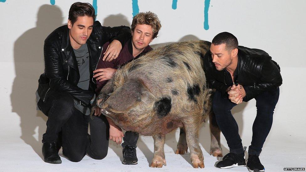 Busted announce a new album and record deal with their original line-up ...