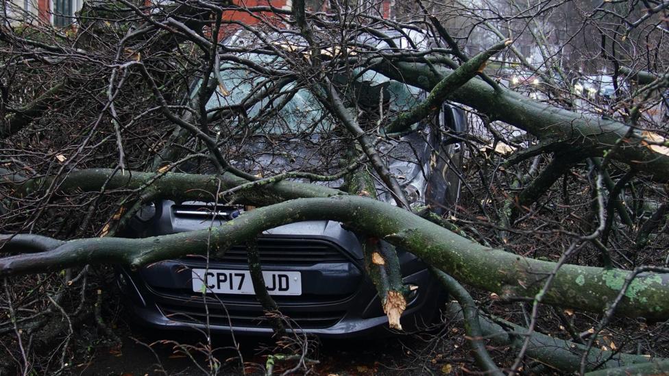 Storm Darragh: Man dies, trees fall and events disrupted - BBC News