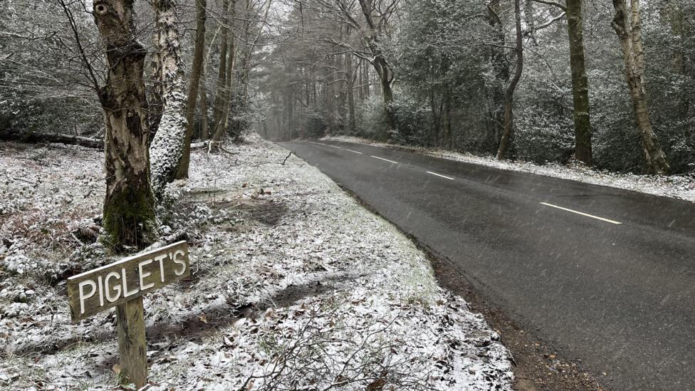 Winnie the Pooh forest culling scheme donates 170,000 meals - BBC News