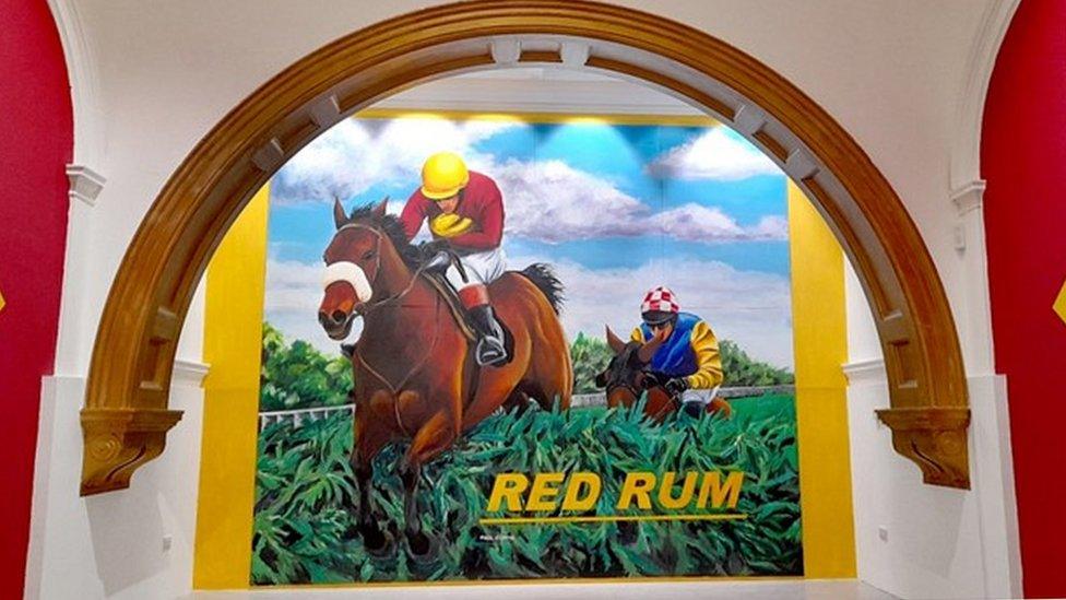 Red Rum exhibition opens in Southport hometown - BBC News