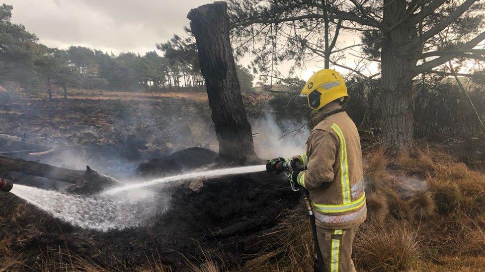 100 firefighters tackle Rempstone Heath blaze - BBC News