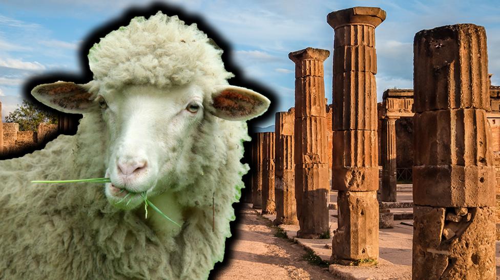 Pompeii discovery: New dig finds ancient paintings in the city ruins ...