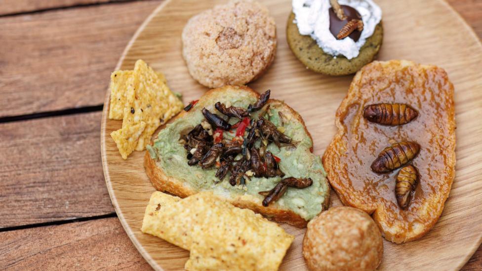 Culinary taste challenge for edible insect advocates - BBC News