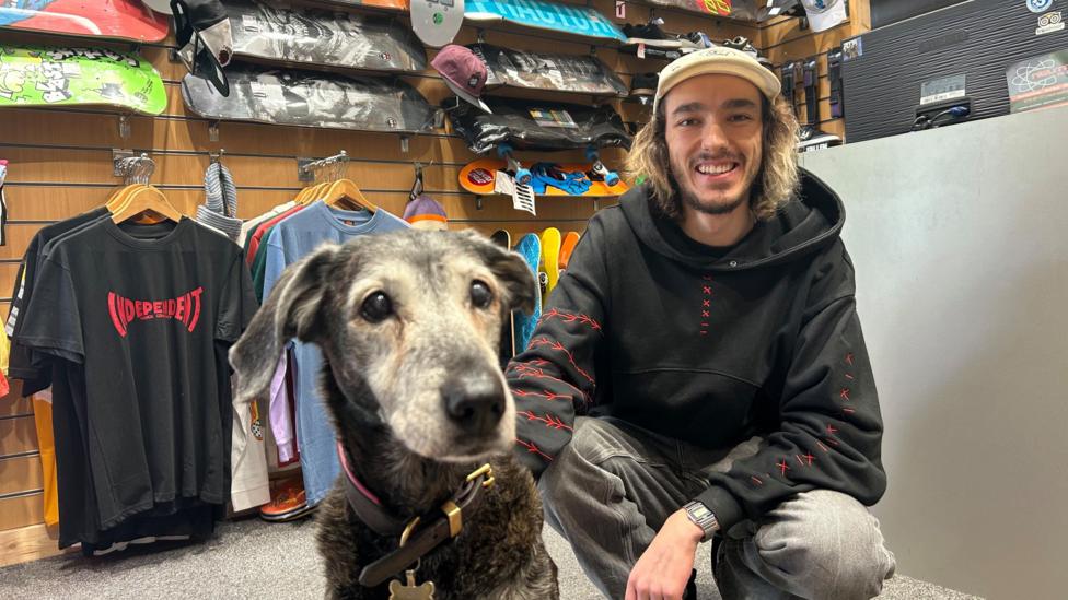 Swindon dog marks 16 years as skate shop colleague - BBC News