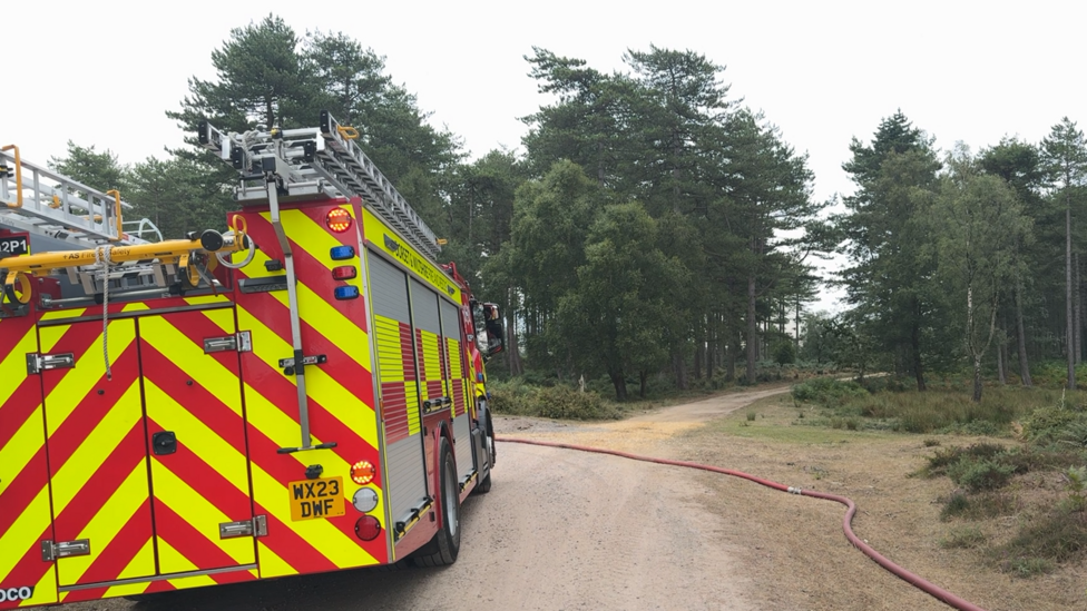 Spate of Dorset heath fires 'likely deliberate' - fire service - BBC News