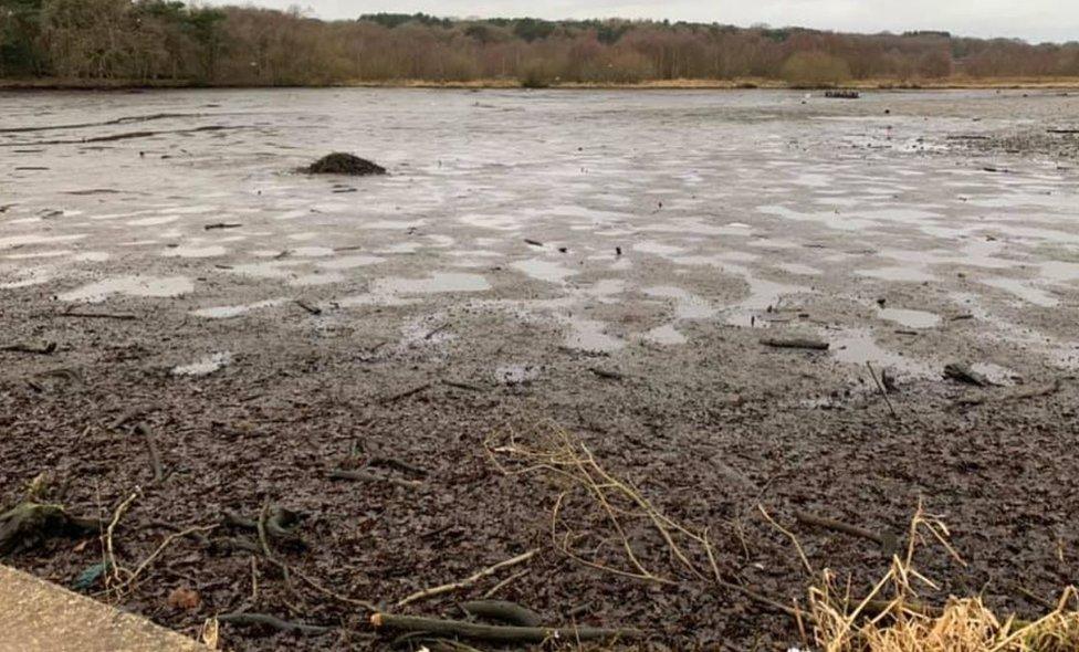 Pool in Sutton Park drained of water 'due to vandalism' - BBC News