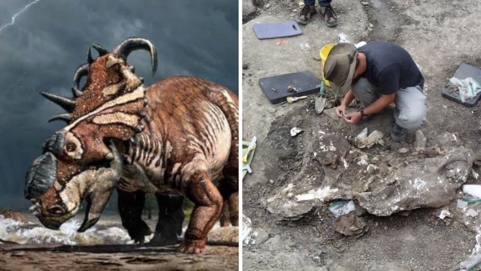 Walking with dinosaurs: Mystery of Pachyrhinosaurus mass grave in ...