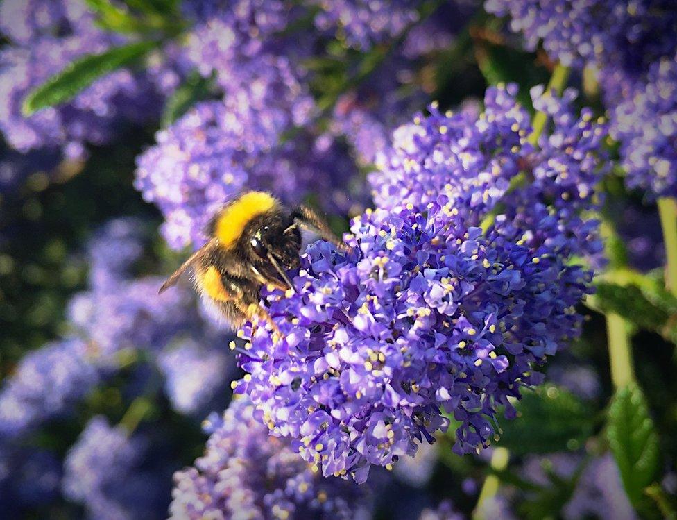 England's Big Picture: 22 - 28 May - BBC News