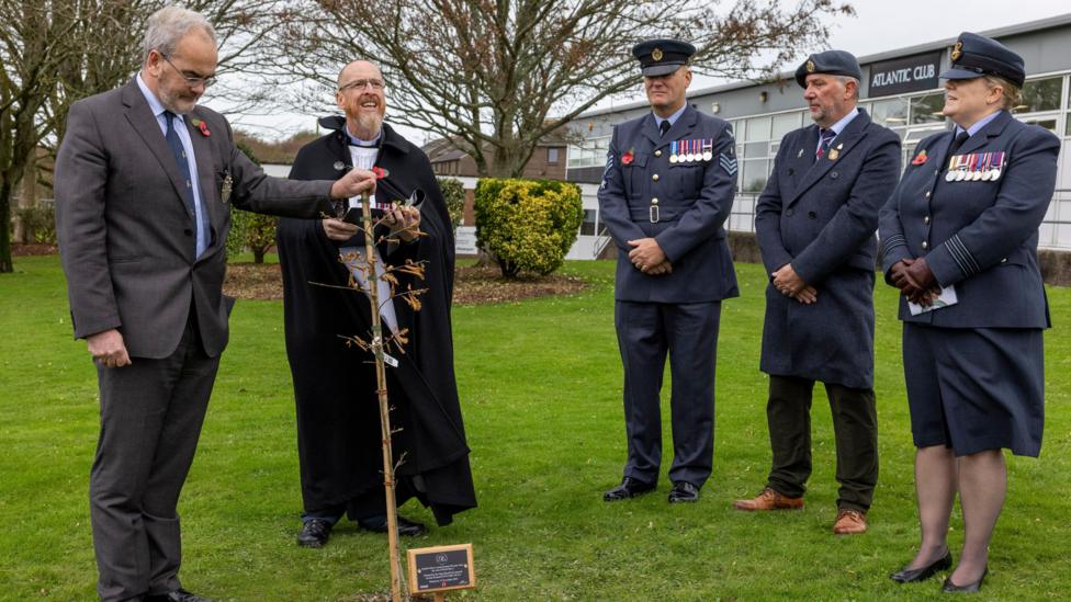 Oak tree planted in Cornwall to honour WW2 veterans - BBC News